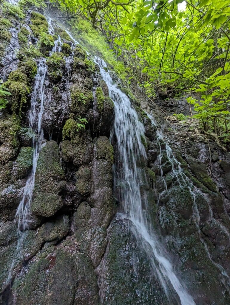 Banias - Your friends in Israel