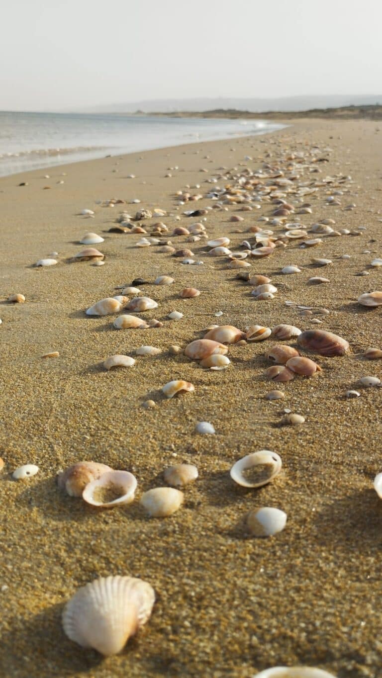 Northern Israel - Your friends in Israel