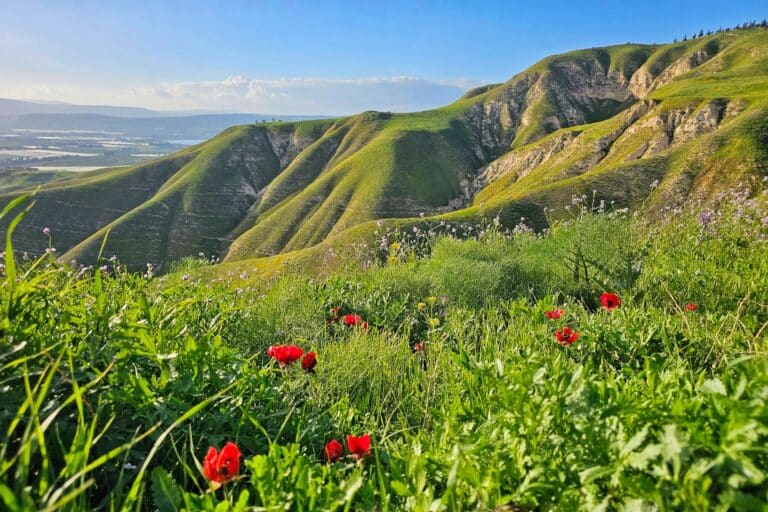 Northern Israel - Your friends in Israel