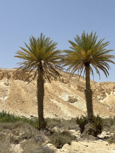 Beer Sheva - Your friends in Israel