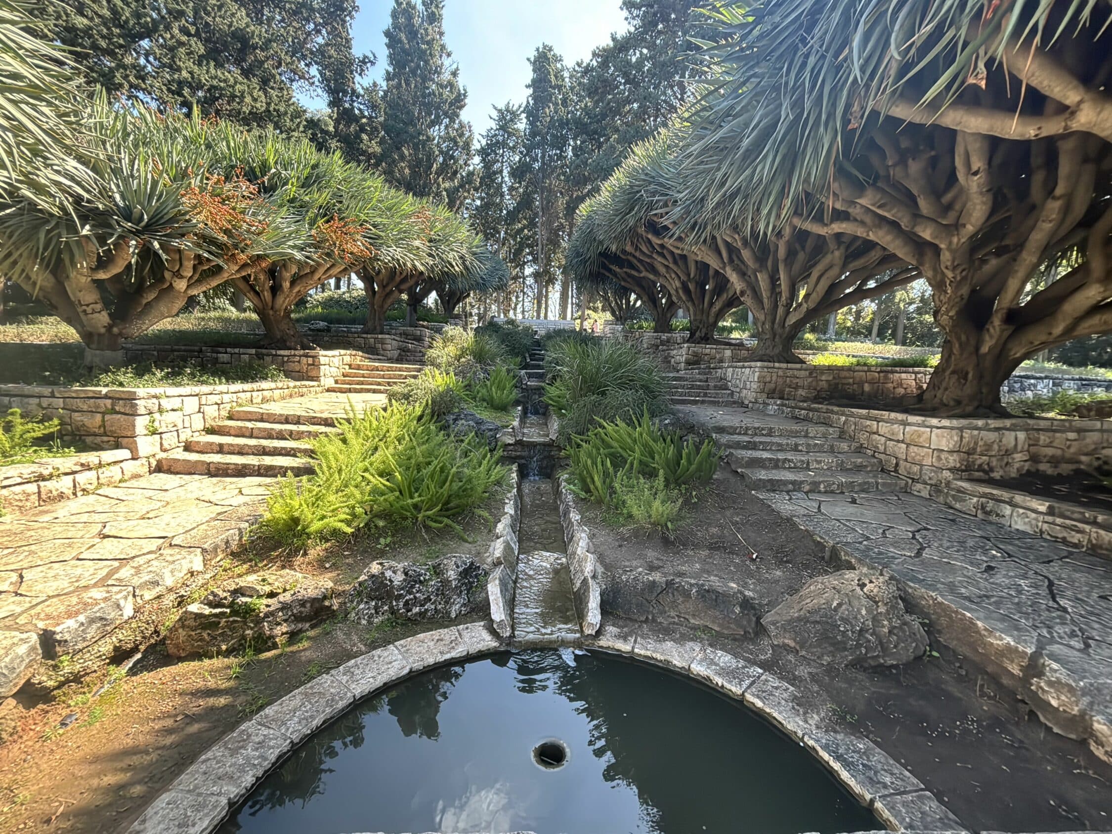 Zichron Yaakov - Your friends in Israel